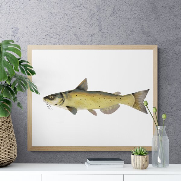 Catfish Print - Etsy