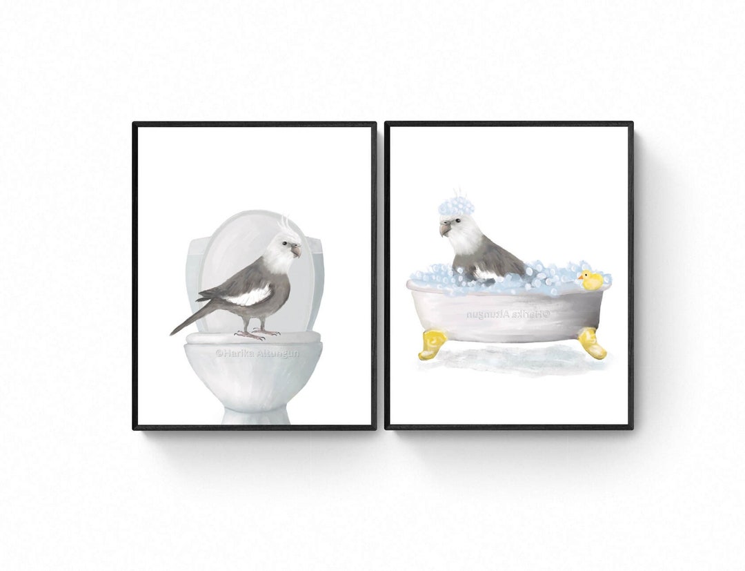 White Faced Cockatiel Bathroom Set of 2, Tiel on Toilet Print, Parrot ...