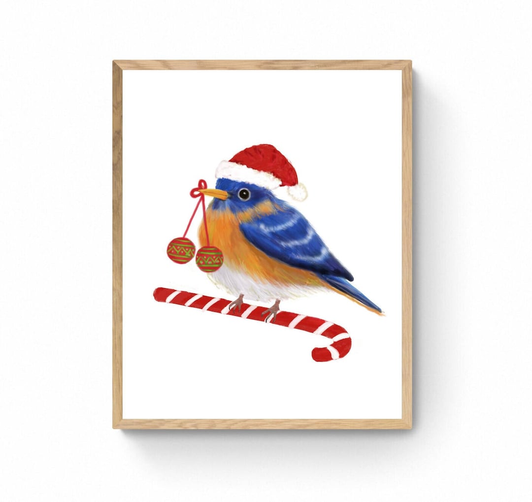 Christmas Bluebird Print, Winter Bird Christmas Art, Bluebird Gift, New ...