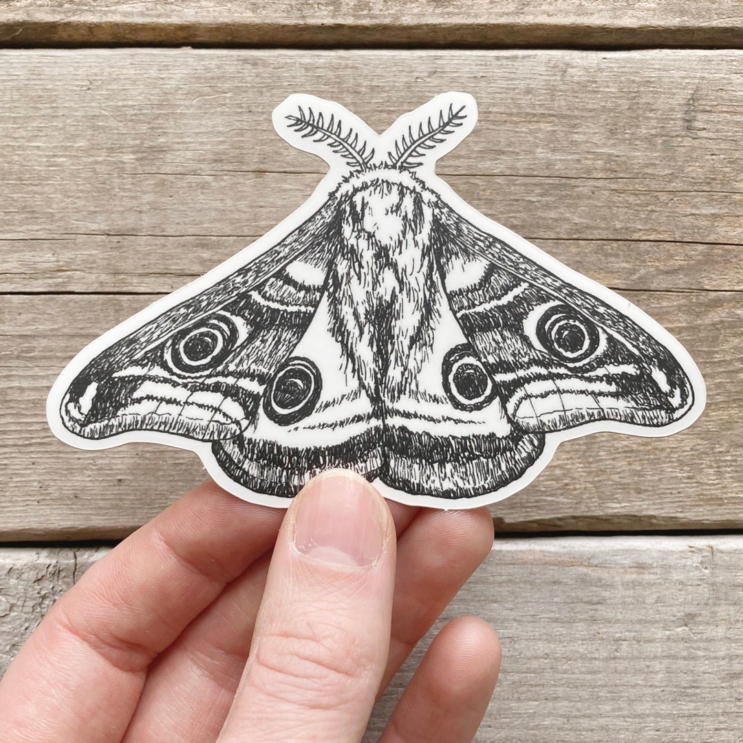 Emperor Moth Sticker, Pen and Ink Moth Decal, Dark Academia Decor ...