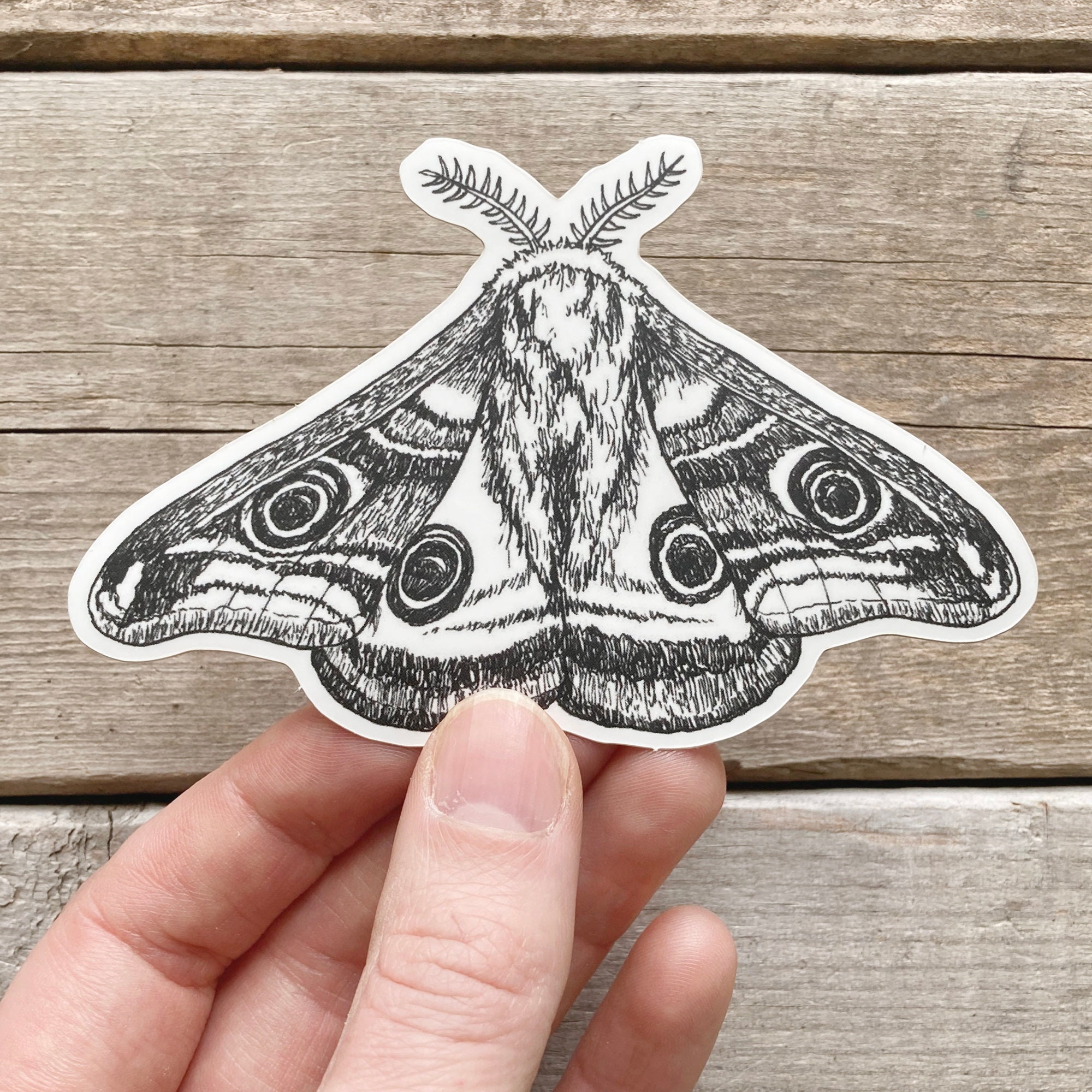 Emperor Moth Sticker Pen and Ink Moth Decal Dark Academia - Etsy