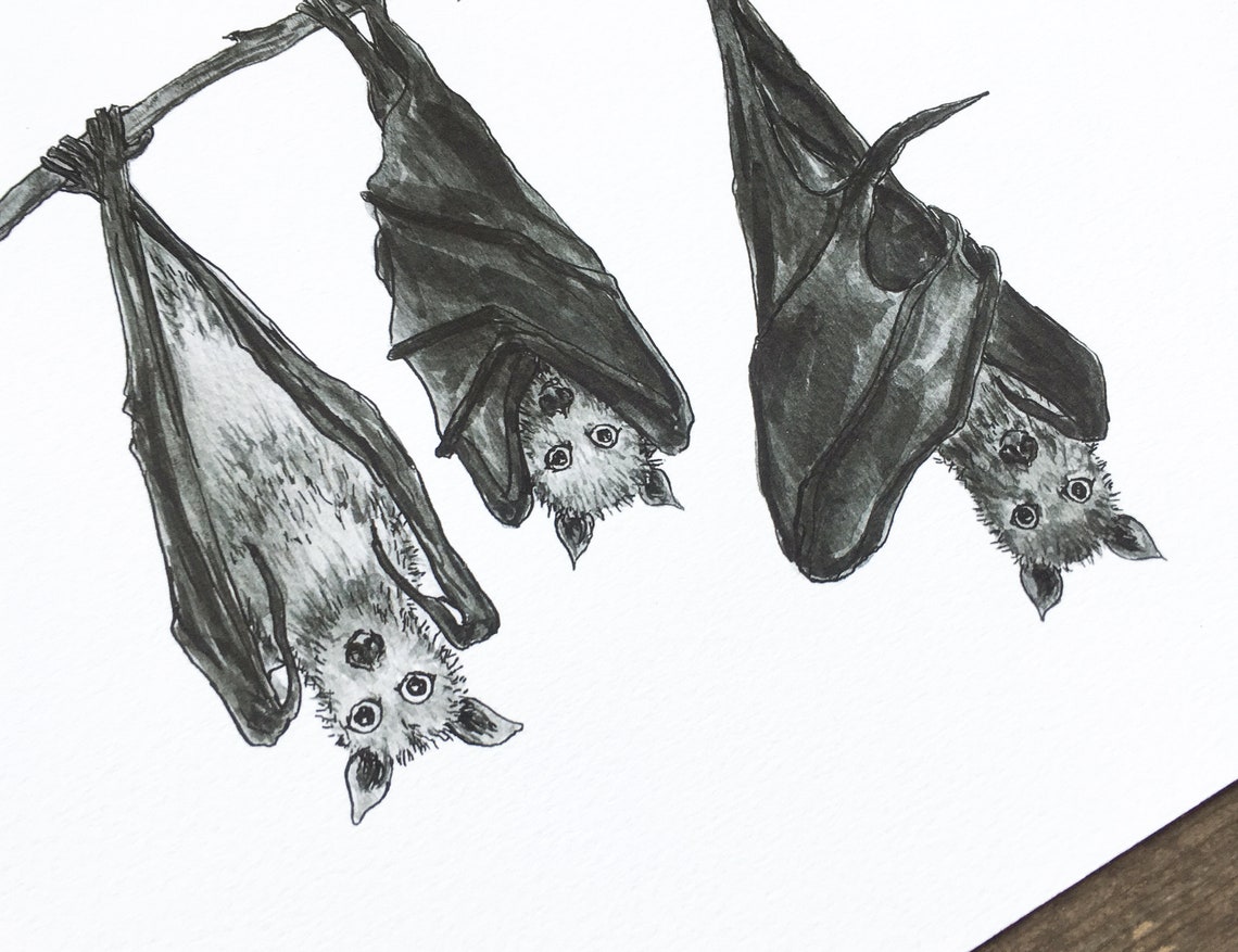 Bat Print Three Hanging Bats Art Print Watercolor Halloween | Etsy
