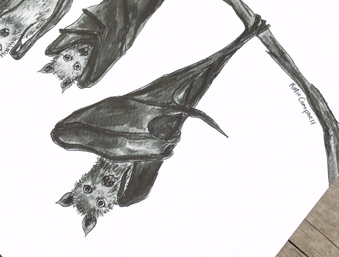 Bat Print Three Hanging Bats Art Print Watercolor Halloween | Etsy
