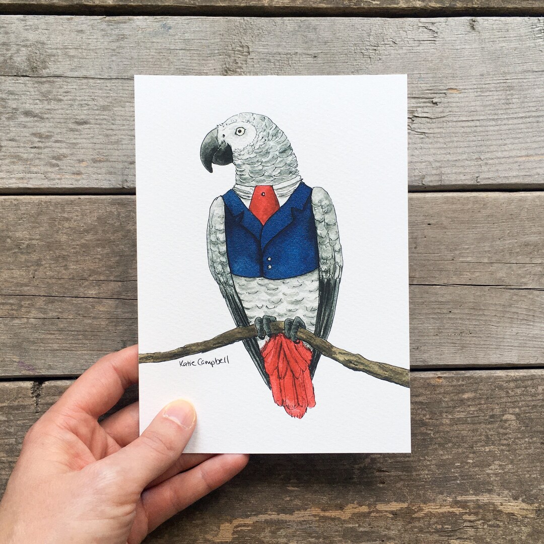 African Grey Parrot Print, Bird Watercolor, Victorian Bird Wall Art - Etsy