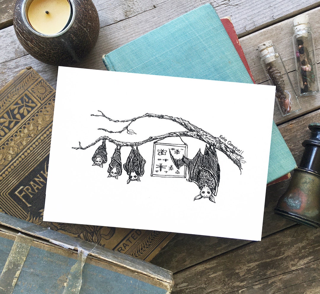 Pen and Ink Bat Print, Whimiscal Bat School Illustration, Teacher Gift ...