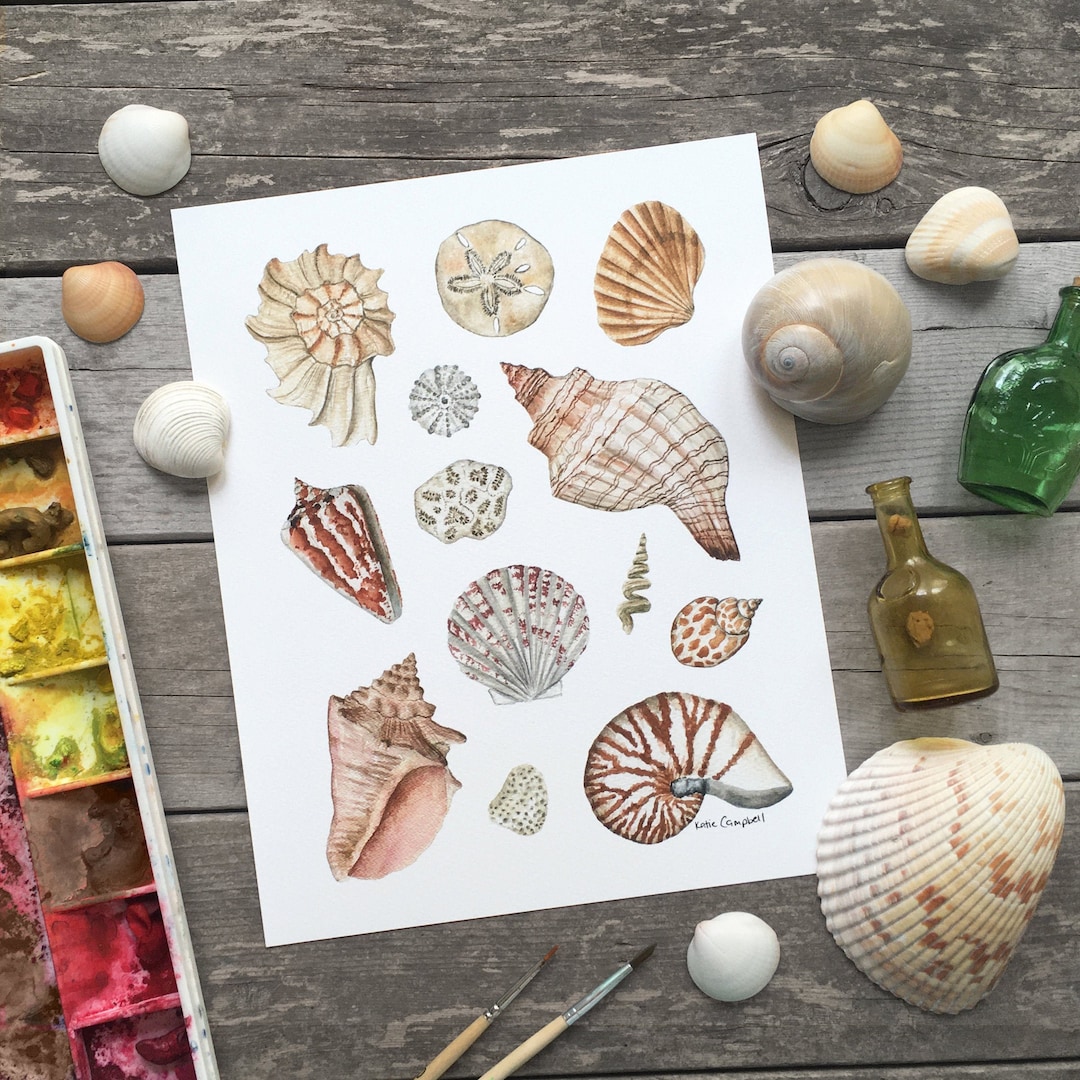 Watercolor Seashell Art Print, Ocean Wall Art, Beach House Decor ...