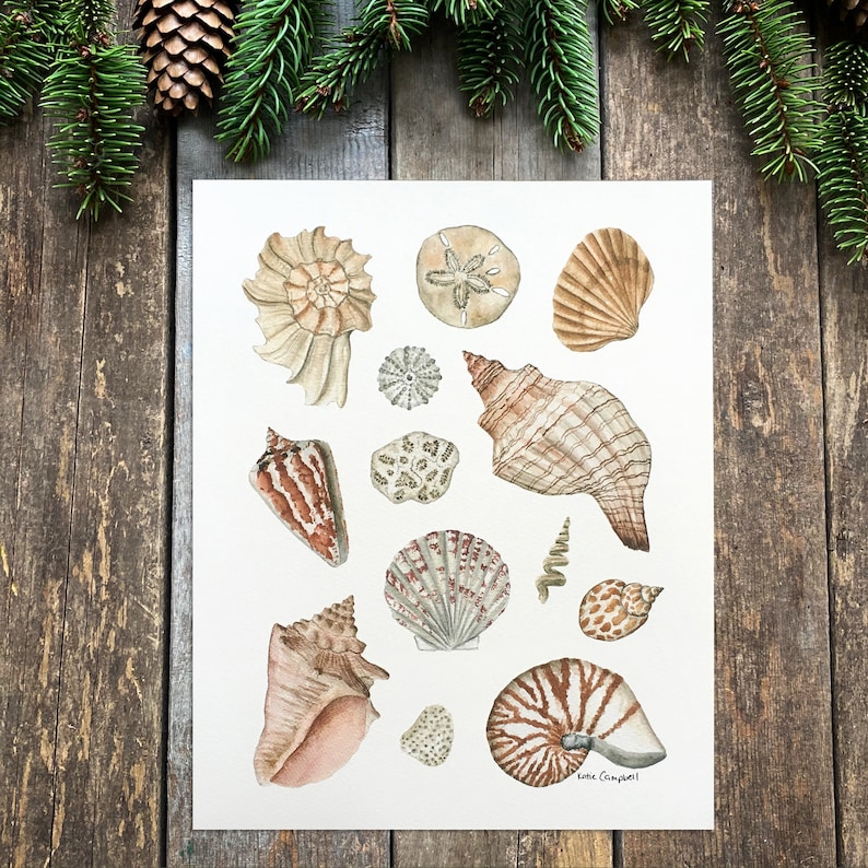 Watercolor Seashell Art Print, Ocean Wall Art, Beach House Decor ...
