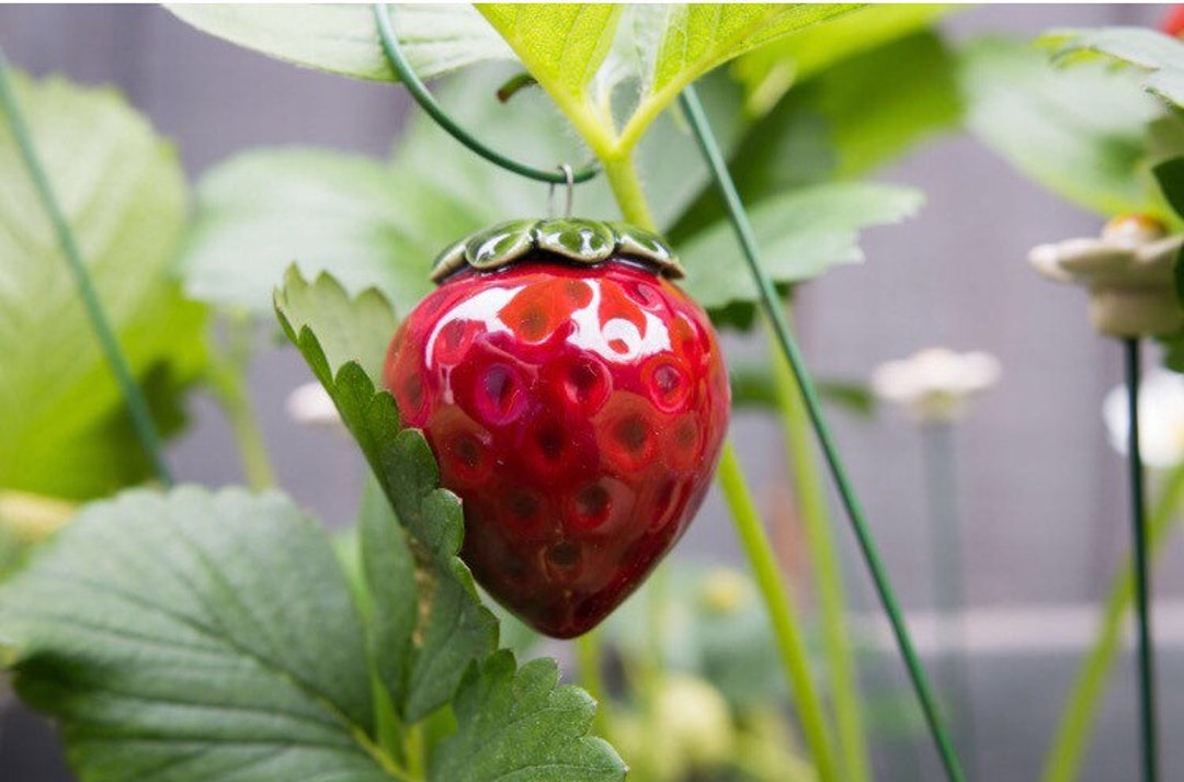 Ceramic Strawberry - Etsy