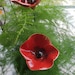 Ceramic Poppy/ Medium Size - Etsy