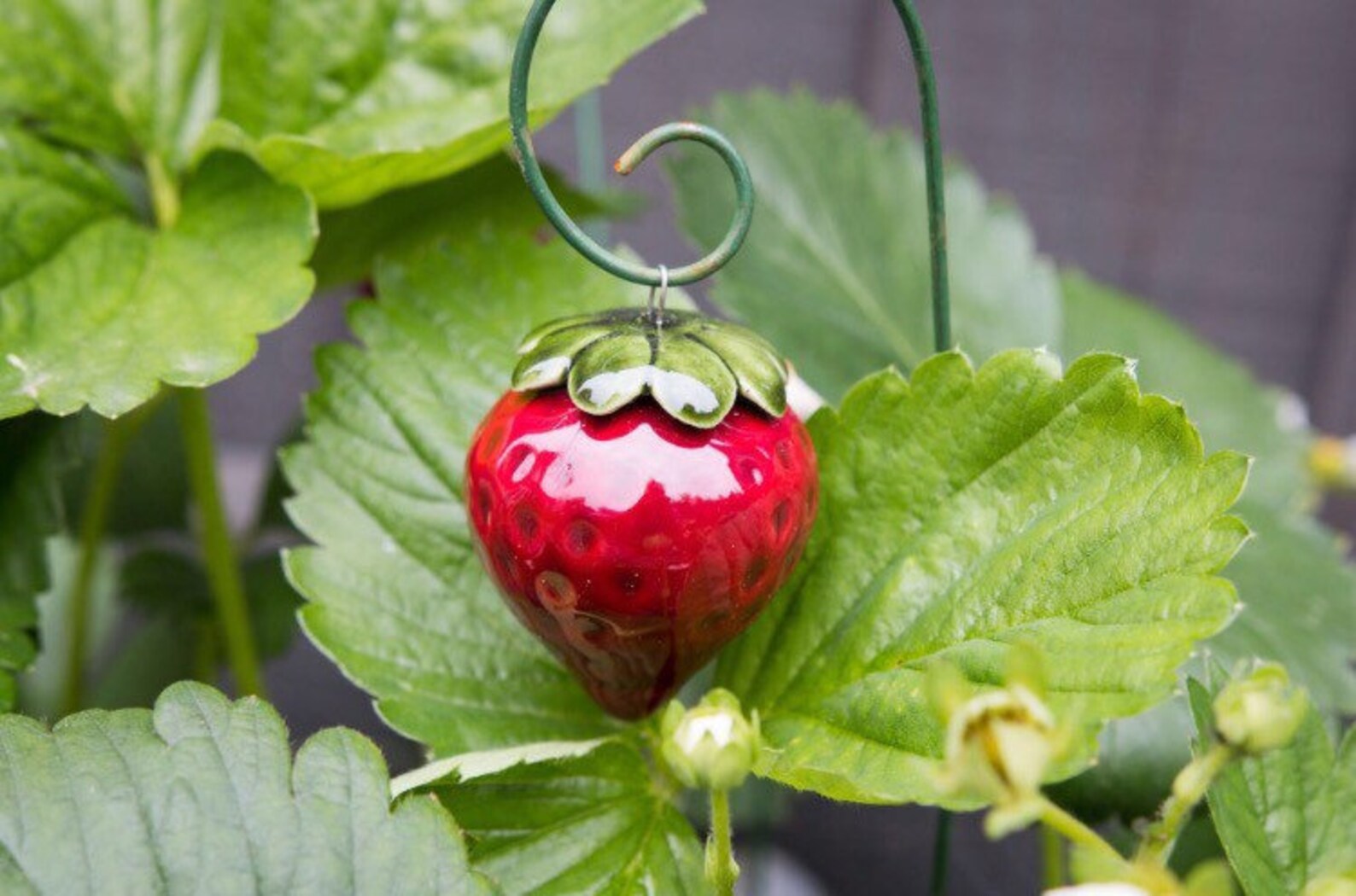 Ceramic Strawberry - Etsy