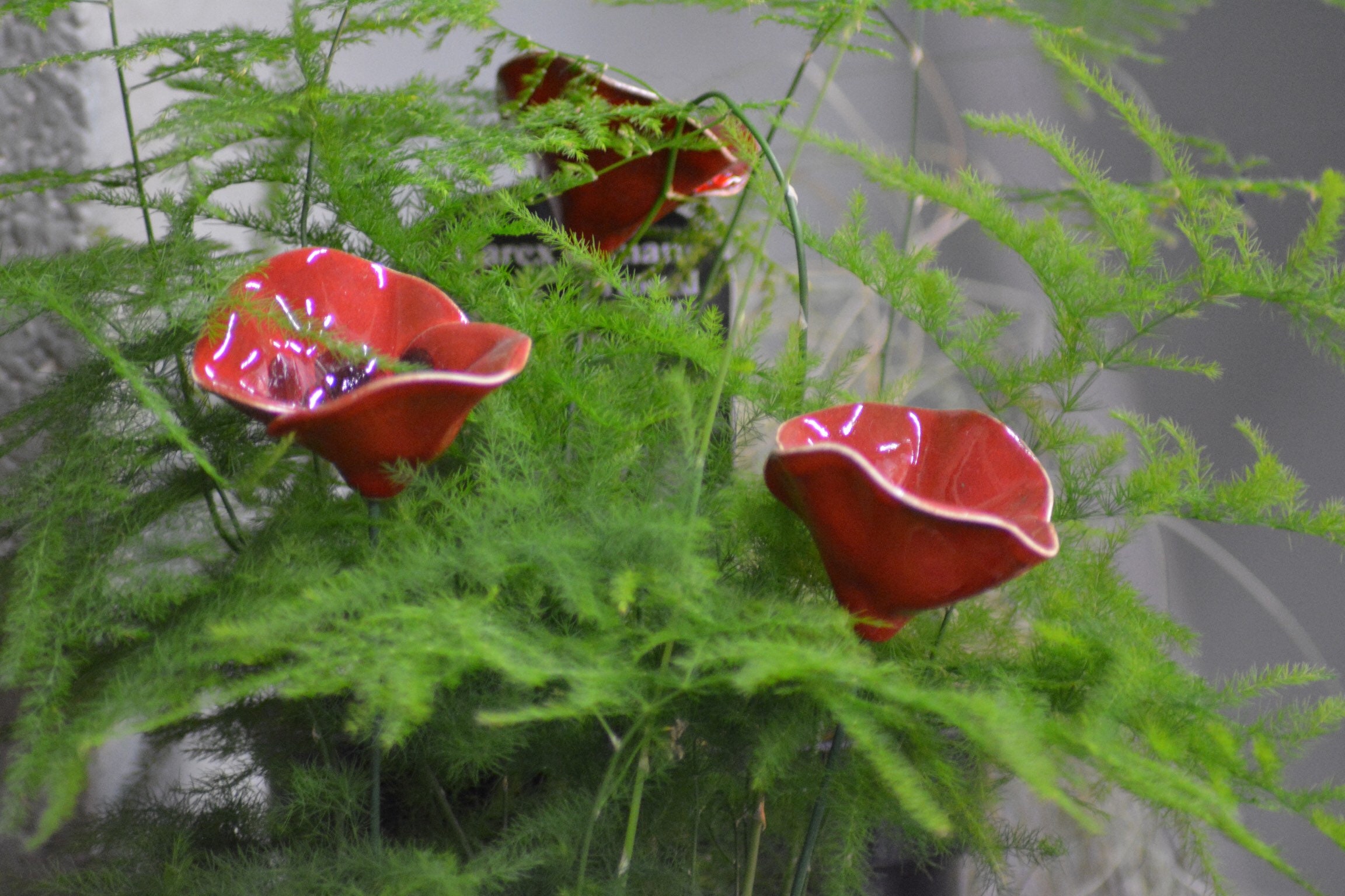 Ceramic Poppy/ Medium Size | Etsy