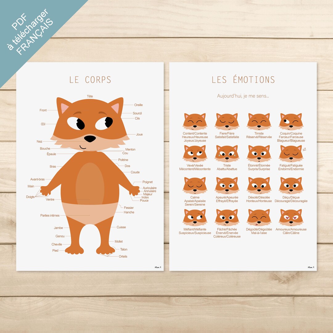 PDF 2 FRENCH POSTERS - "the Body" & "emotions" (children's Room, School ...