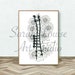 A4 Custom Hand Drawing Spinal Fusion / Scoliosis (one Line Drawing ...