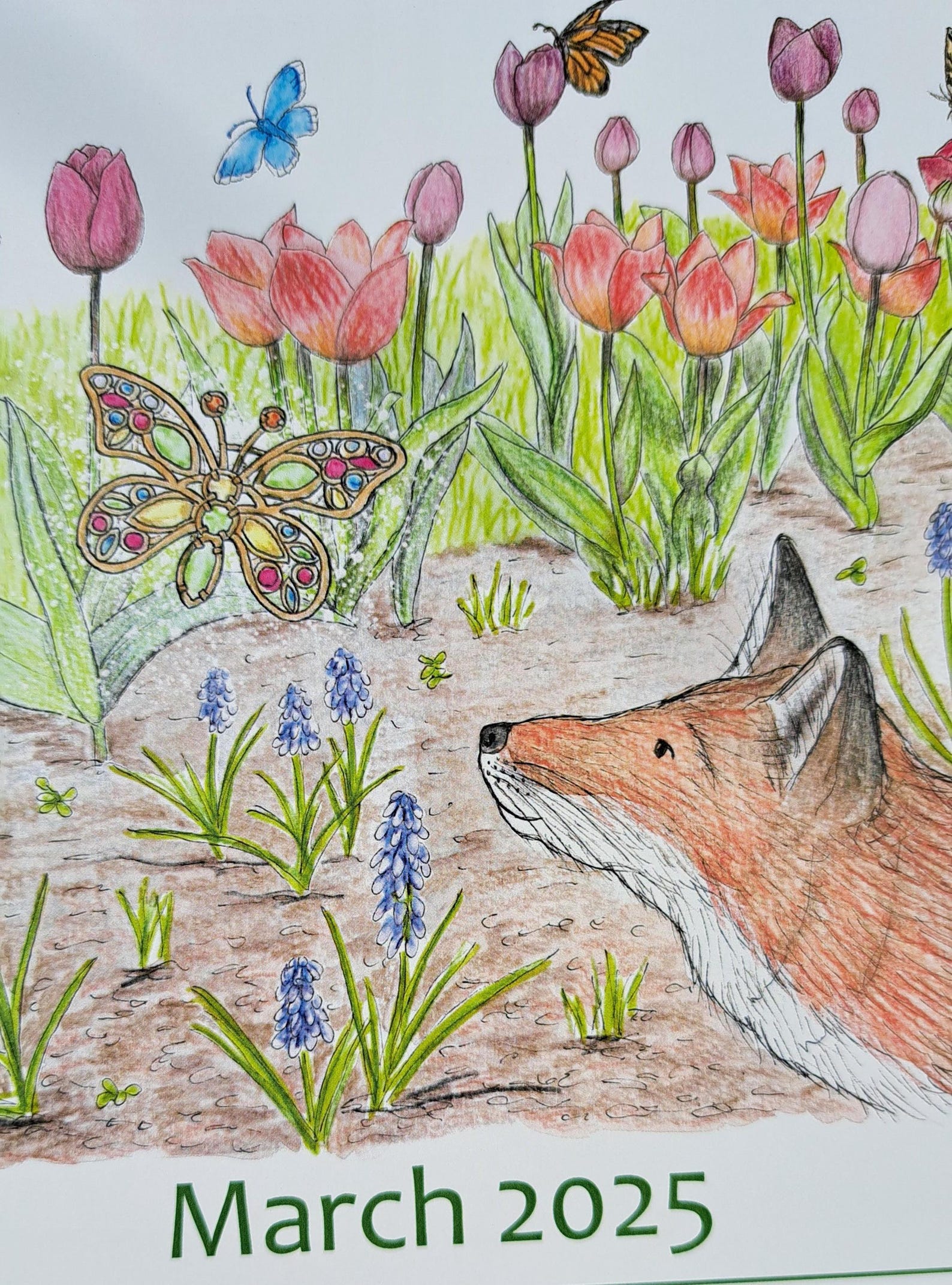 Butterfly Brooch and Fox A4 Print - Etsy
