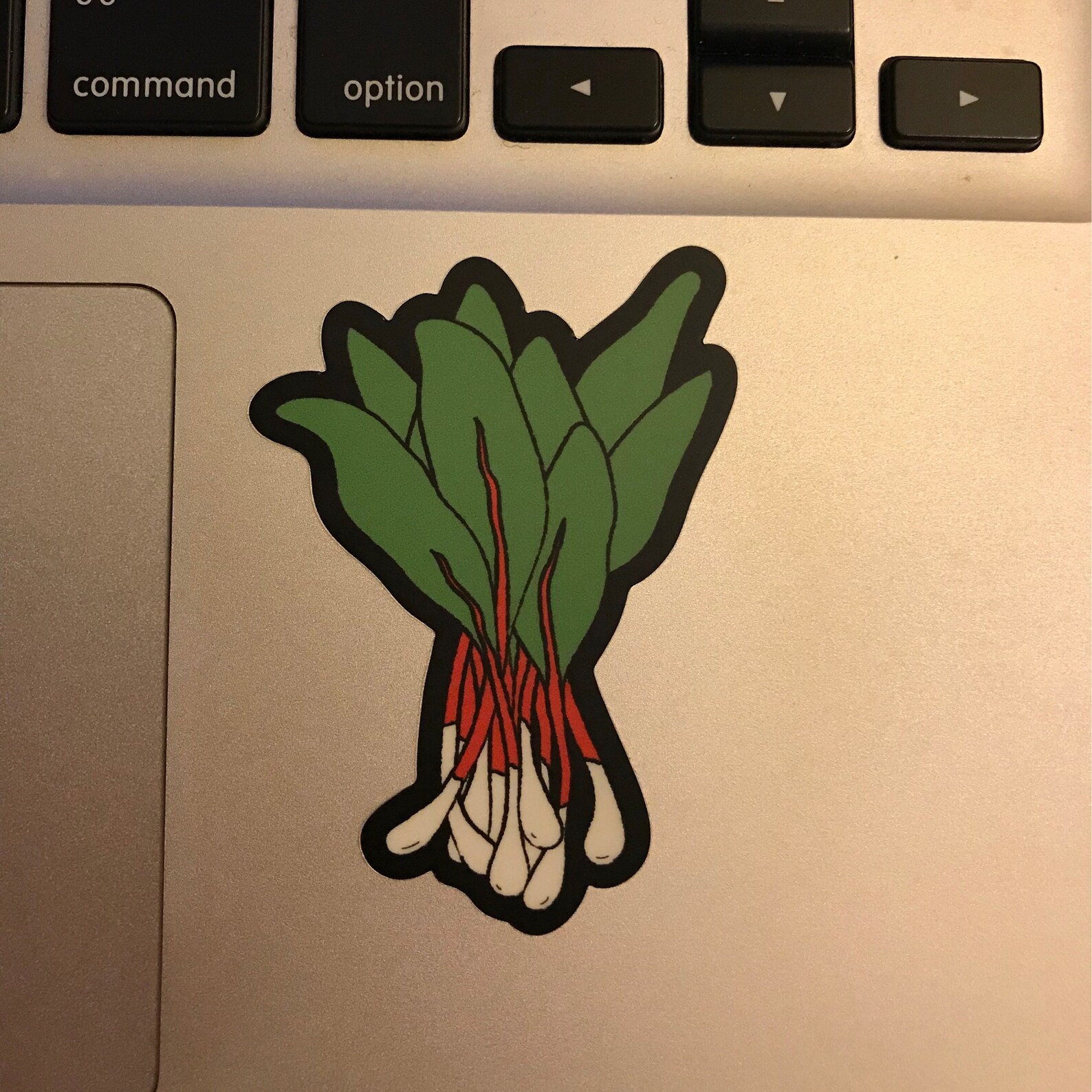 West Virginia Ramps Sticker | Etsy