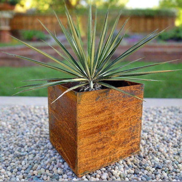 Steel Planters - Etsy