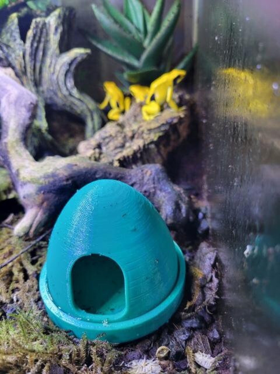 Dart Frog Breeding Hut - Etsy