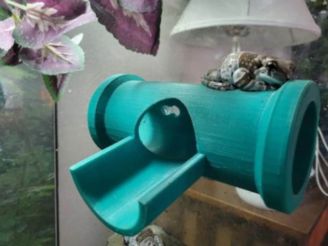 Frog Tube With Suction Cups - FREE SHIPPING - Etsy