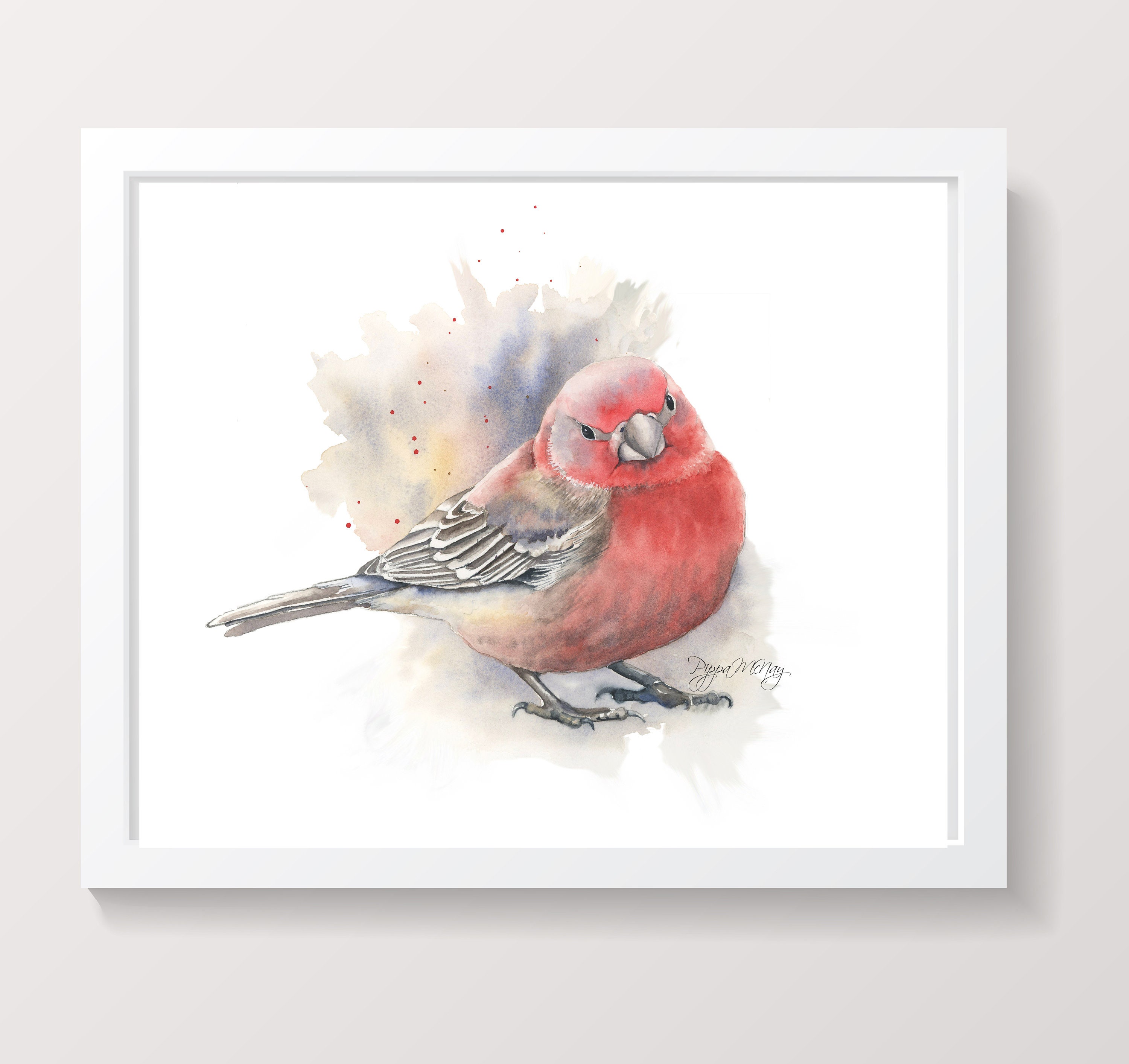 Watercolor Print of Red Finch Bird Print Original Watercolor - Etsy
