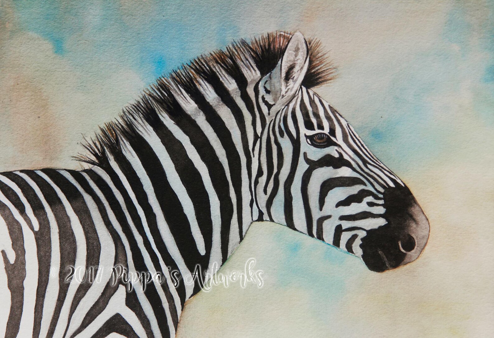 Watercolor Print Original Watercolor Painting Zebra - Etsy
