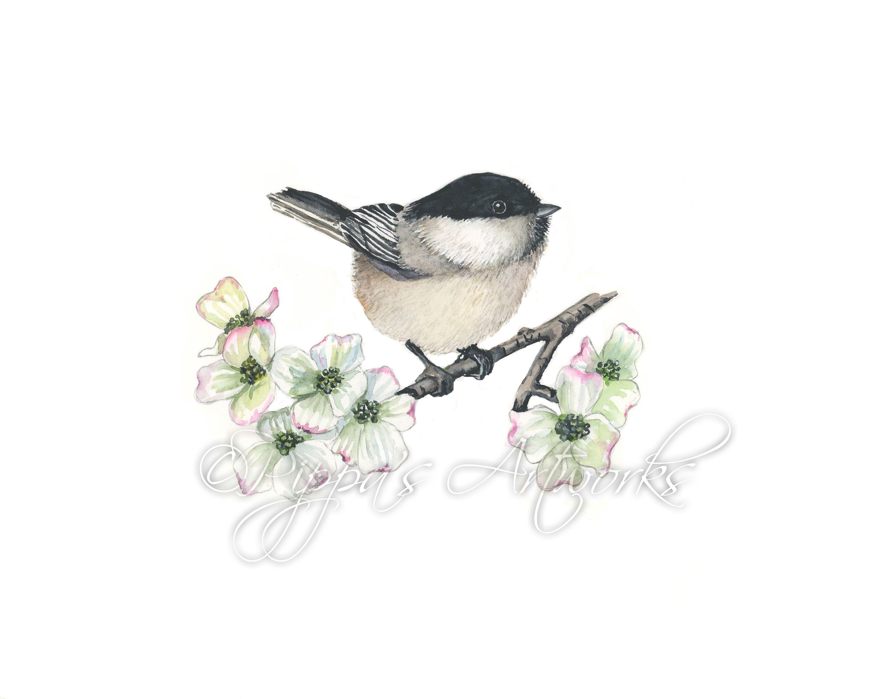 Original Watercolor Print Chickadee Print Bird Painting - Etsy