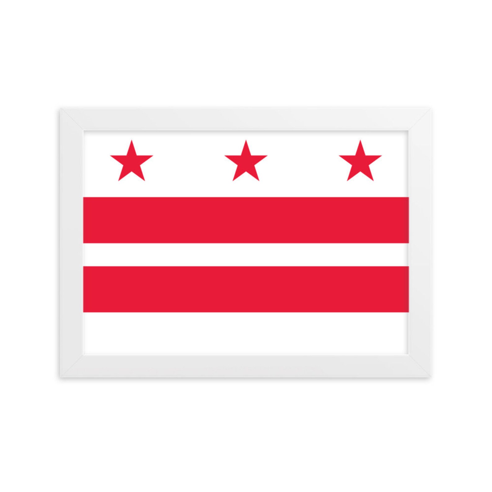 Flag of Washington DC 51st State of the United States Framed Matte ...