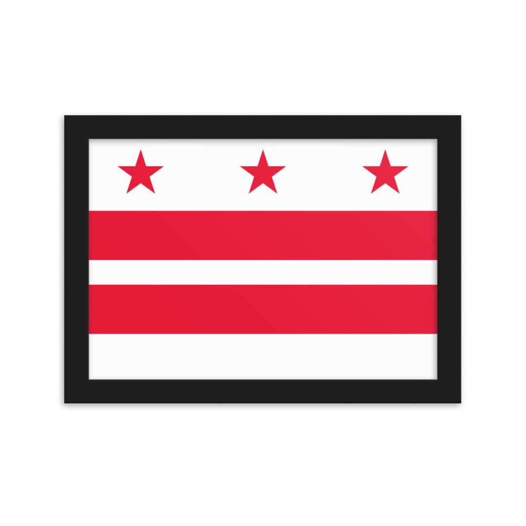 Flag of Washington DC 51st State of the United States Framed Matte ...