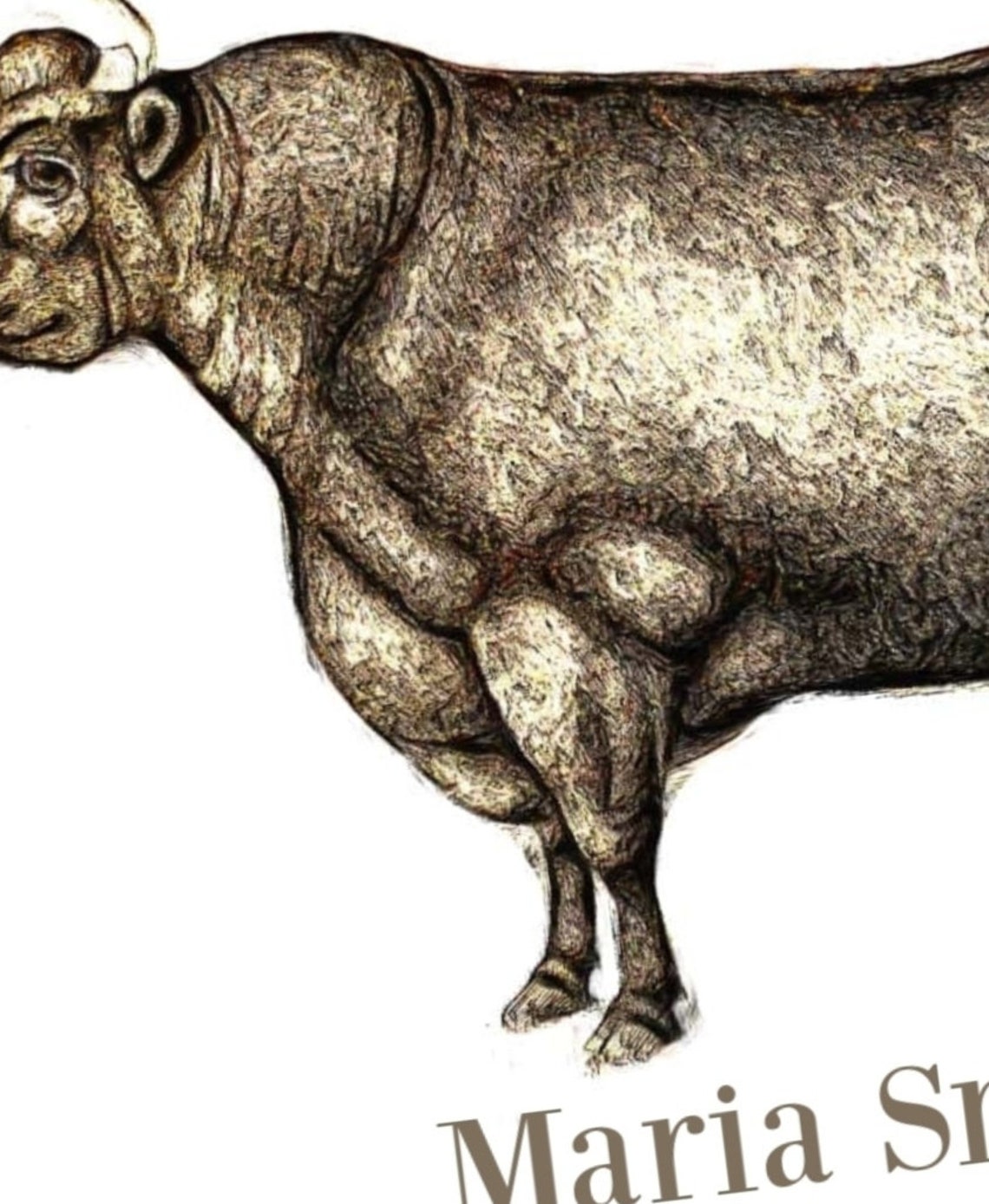 Bull Wedding Invitation: a Cowgirl Save the Date for the Engaged AF ...