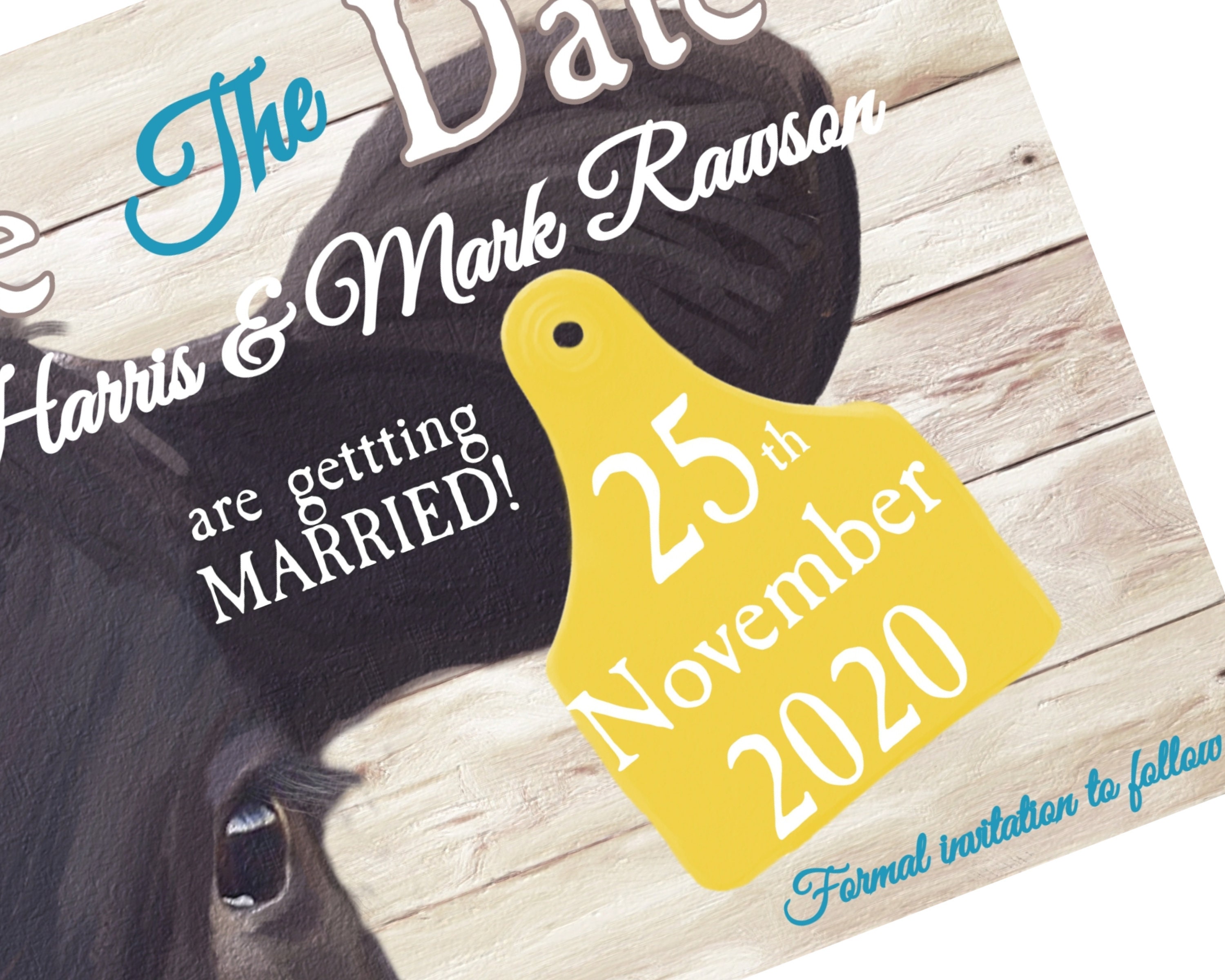 Angus Cow Tag the Date | Save the Date | Cow Wedding Invitation ...