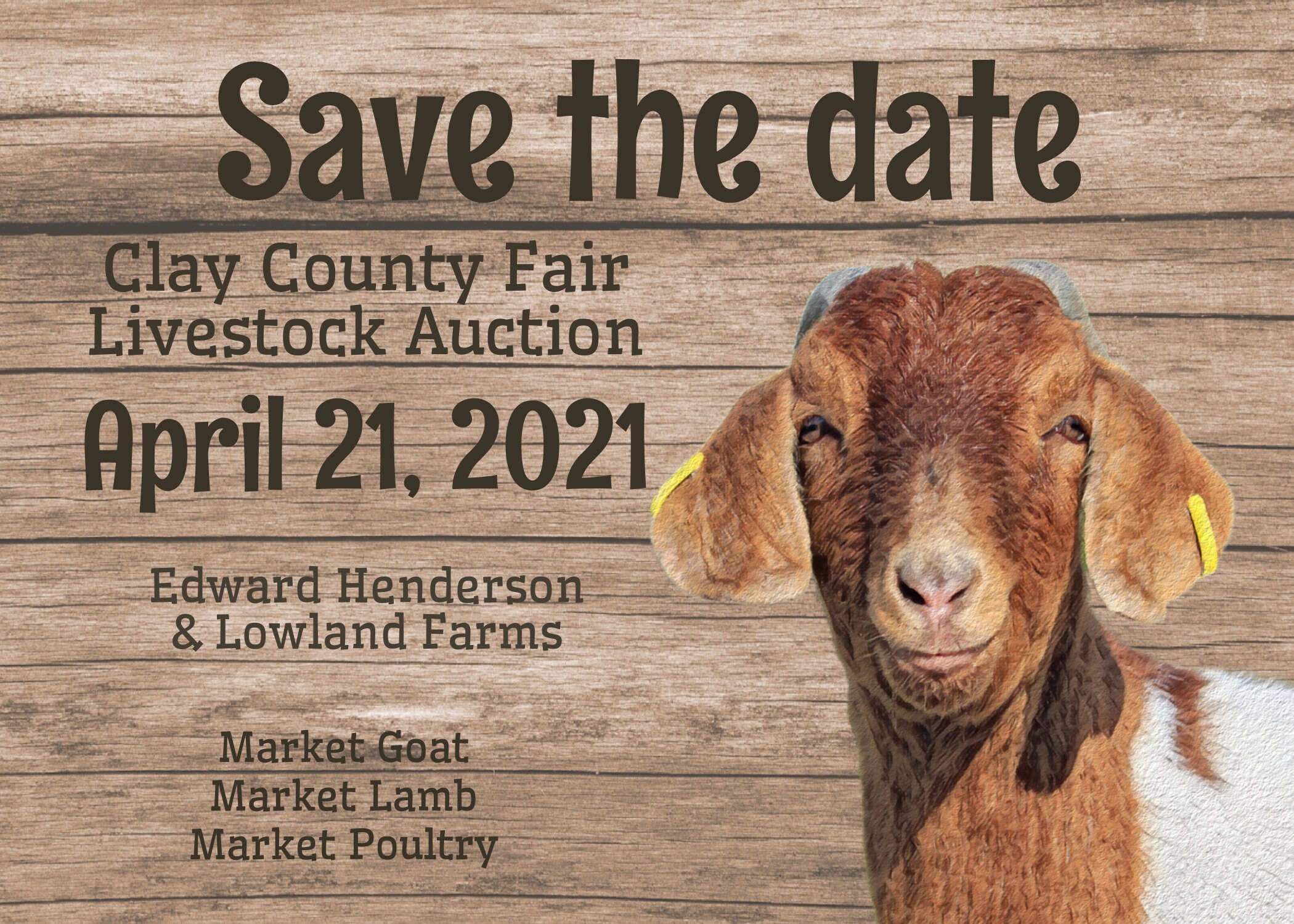 Boer Goat Farm Animal Show Save the Date | State Fair Invitation | Farm ...