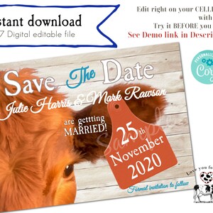 Angus Cow Tag the Date Save the Date Cow Wedding Invitation Farmhouse ...