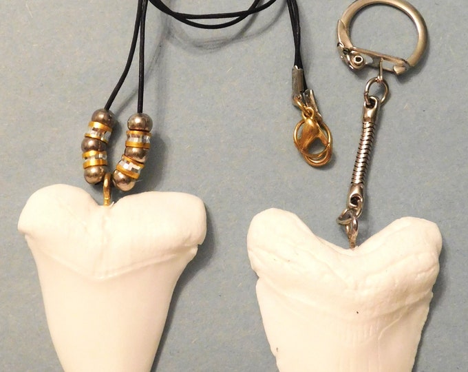 Enormous Megalodon Shark Tooth 6 5/8 X 5 1/8 Monster Shark Tooth ...