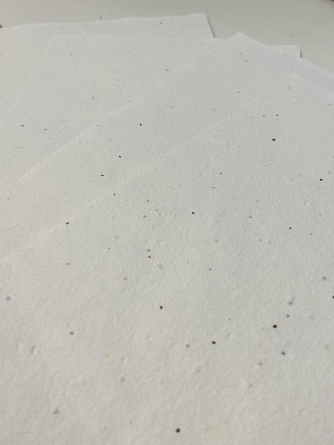 A4 Seed Paper, Wildflower Paper, Plantable Paper, Seeded Card, Paper ...