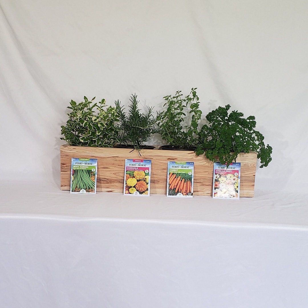 Kids Gardening Kit All in One Indoor or Outdoor All Season - Etsy