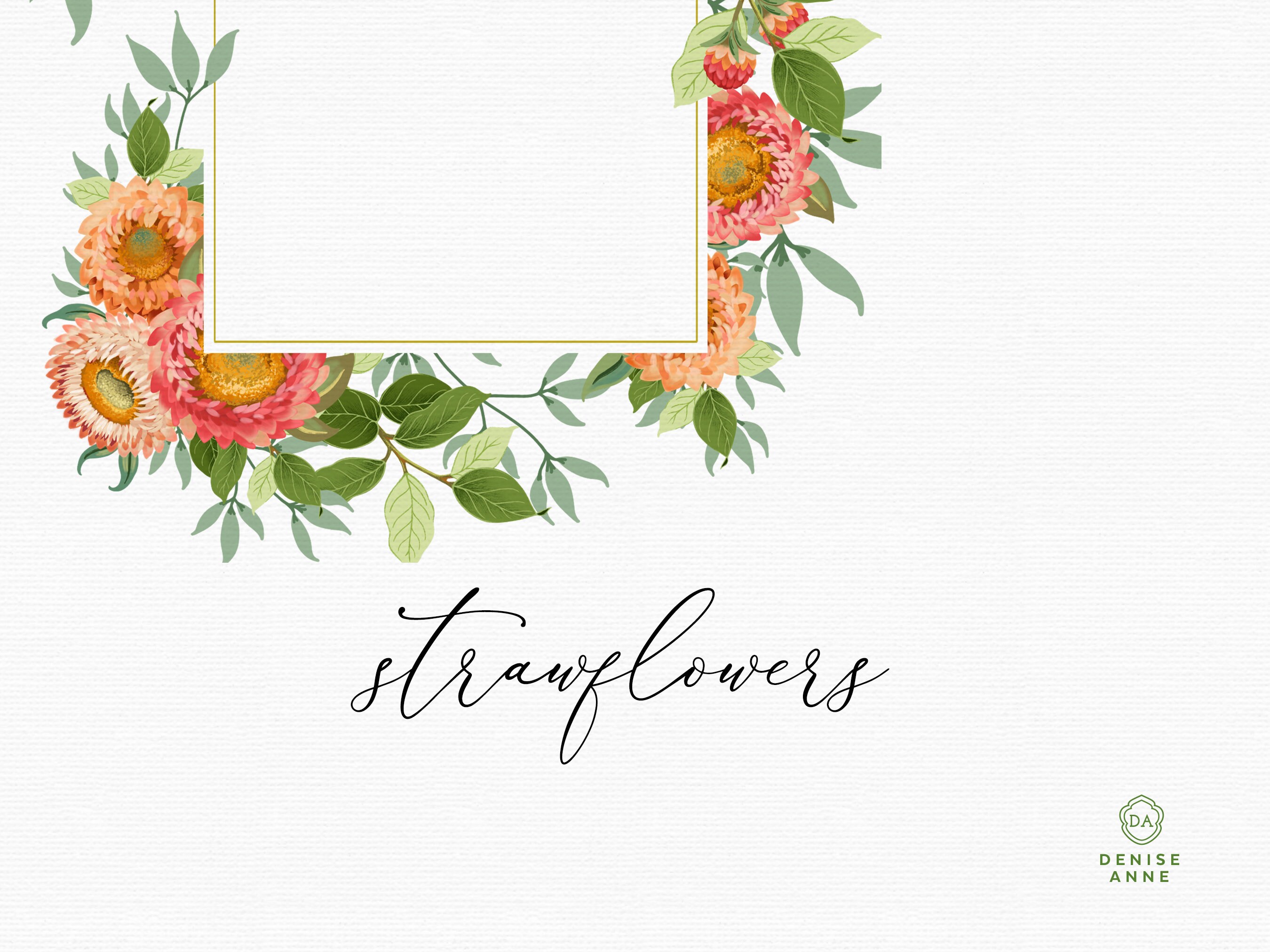 Wildflower Clipart Invitation Border Strawflowers Australian Flowers ...