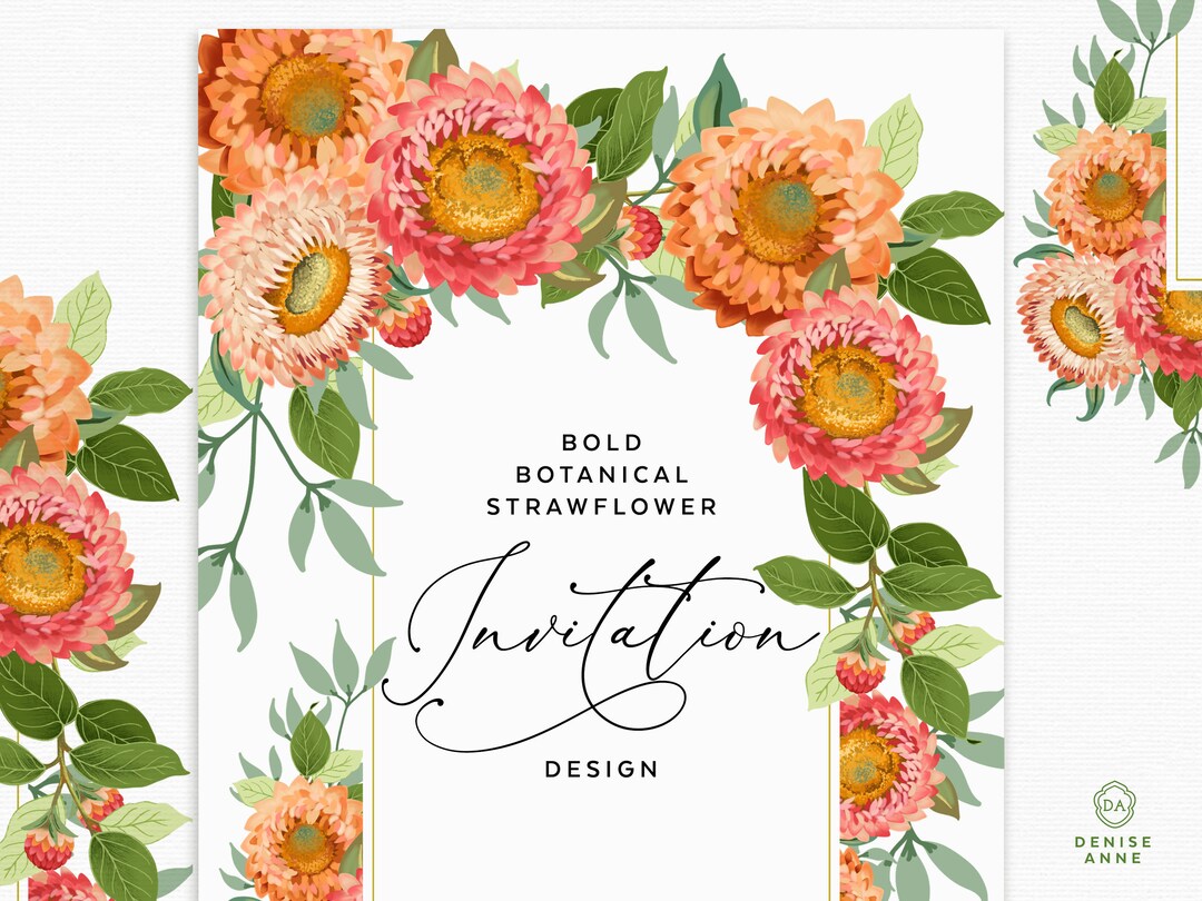 Wildflower Clipart Invitation Border Strawflowers Australian Flowers ...