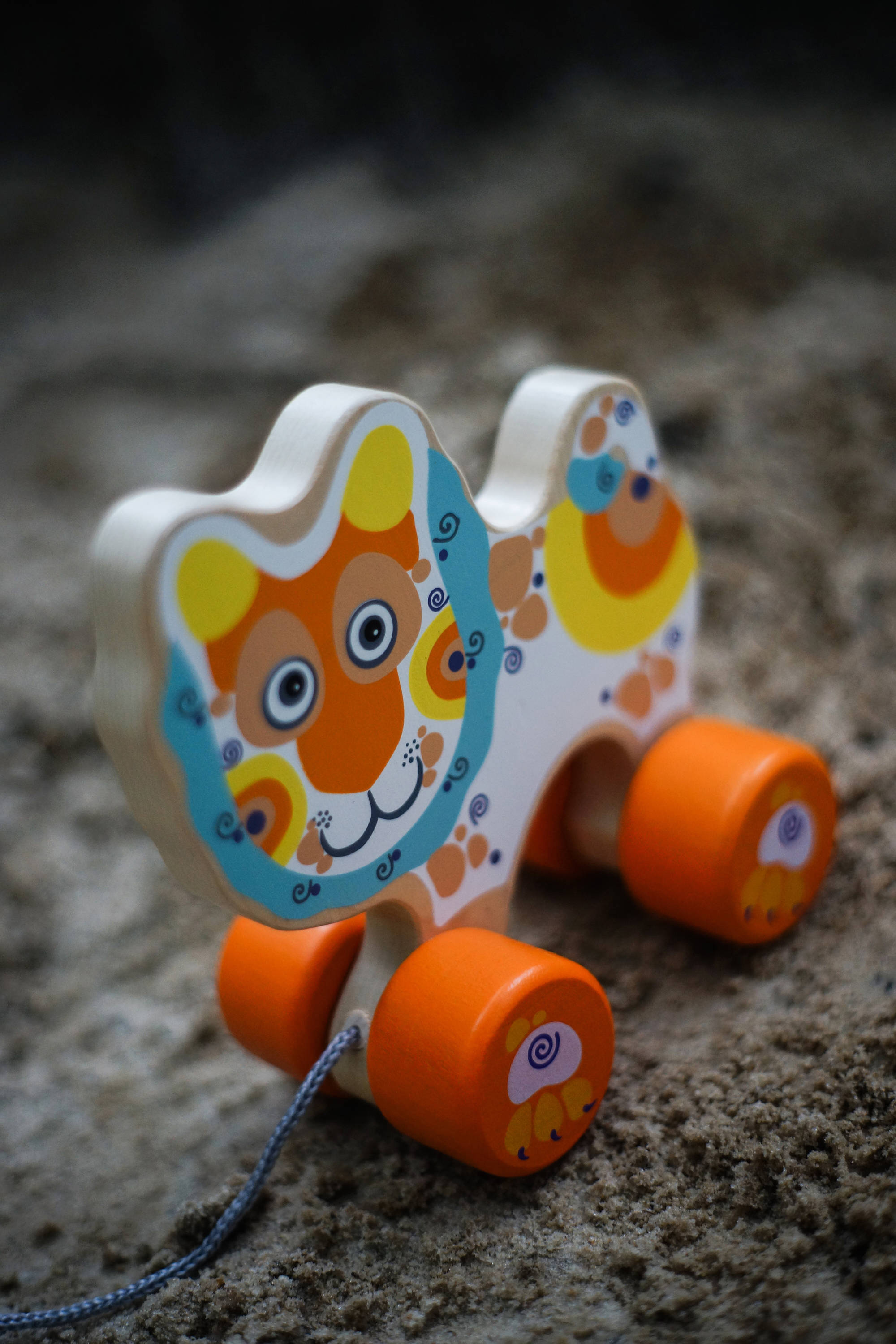 Wooden Toy/ Toy on Wheels / Toy on the String / Push & Pull - Etsy