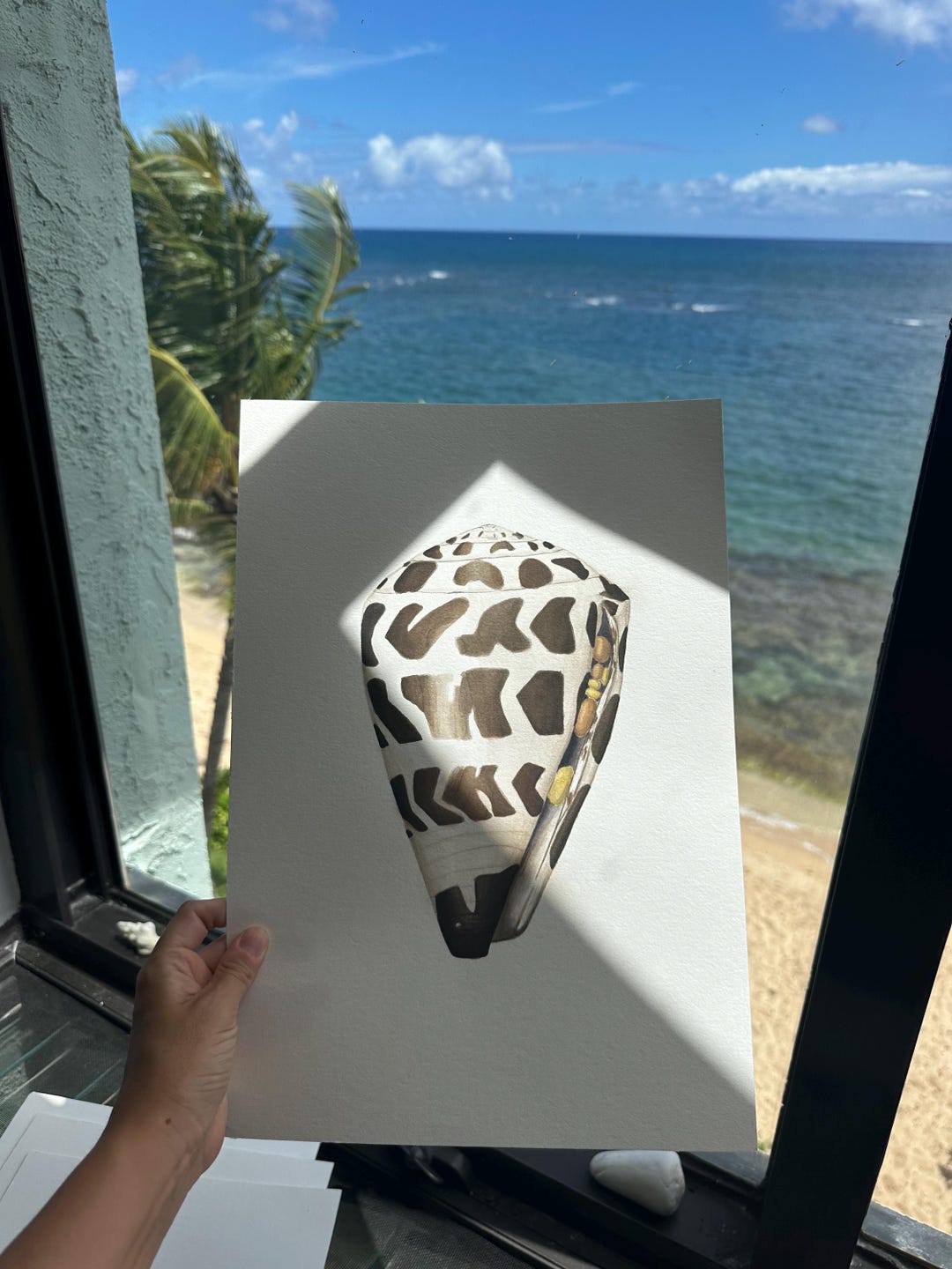 Hand-painted Hebrew Cone Shell Giclee Print - Etsy