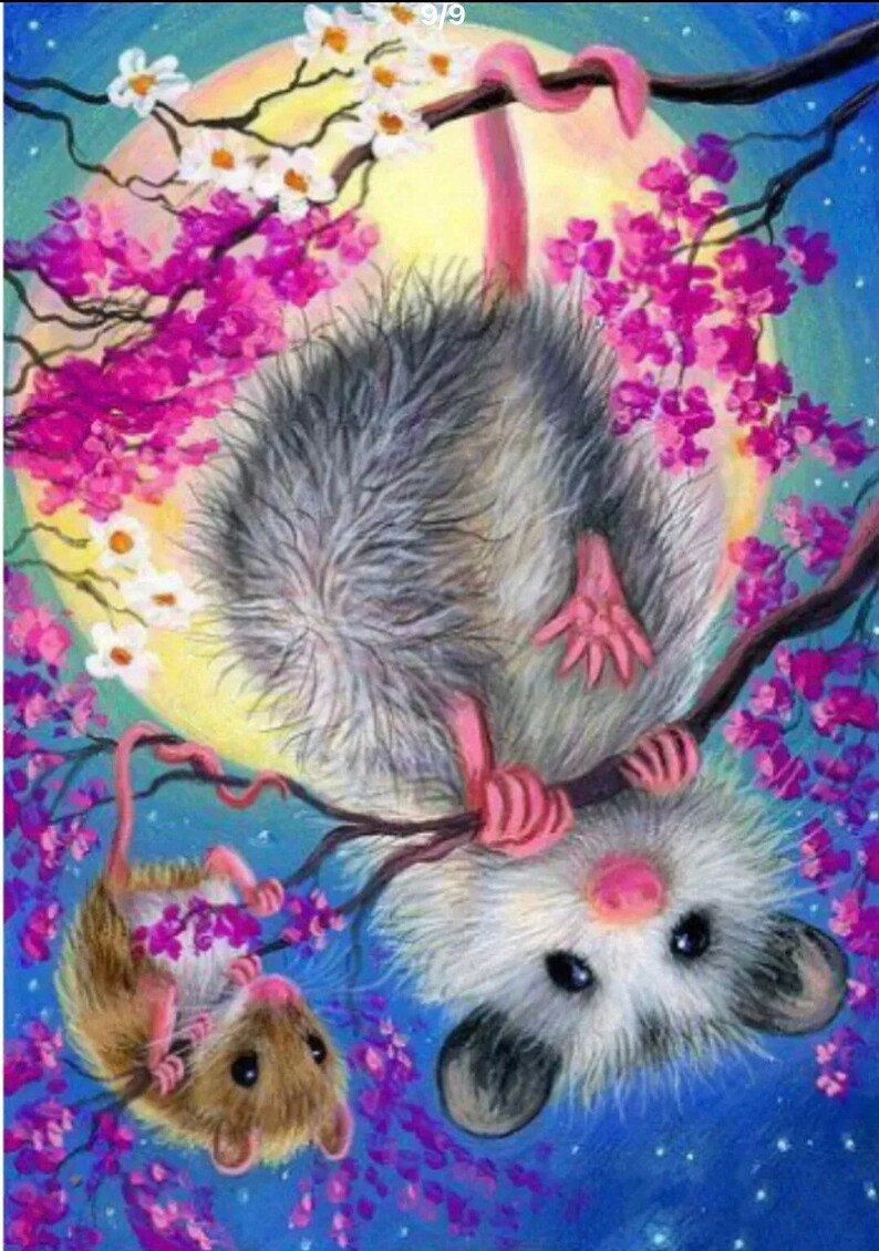 Possum Diamond Art Painting Kit Cherry Blossoms Diamond Art - Etsy