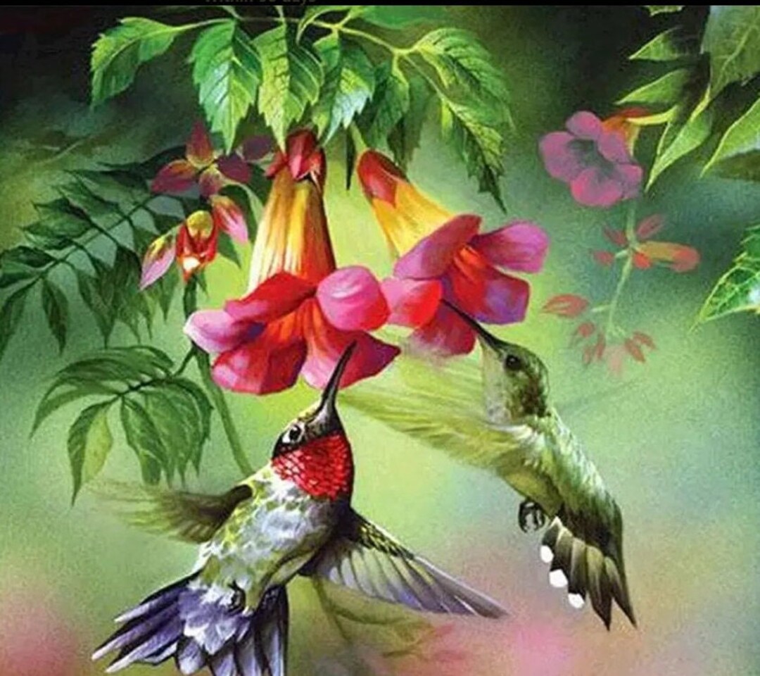 Green Hummingbird Diamond Art Painting Kit, Small Diamond Art Kit, Bird ...