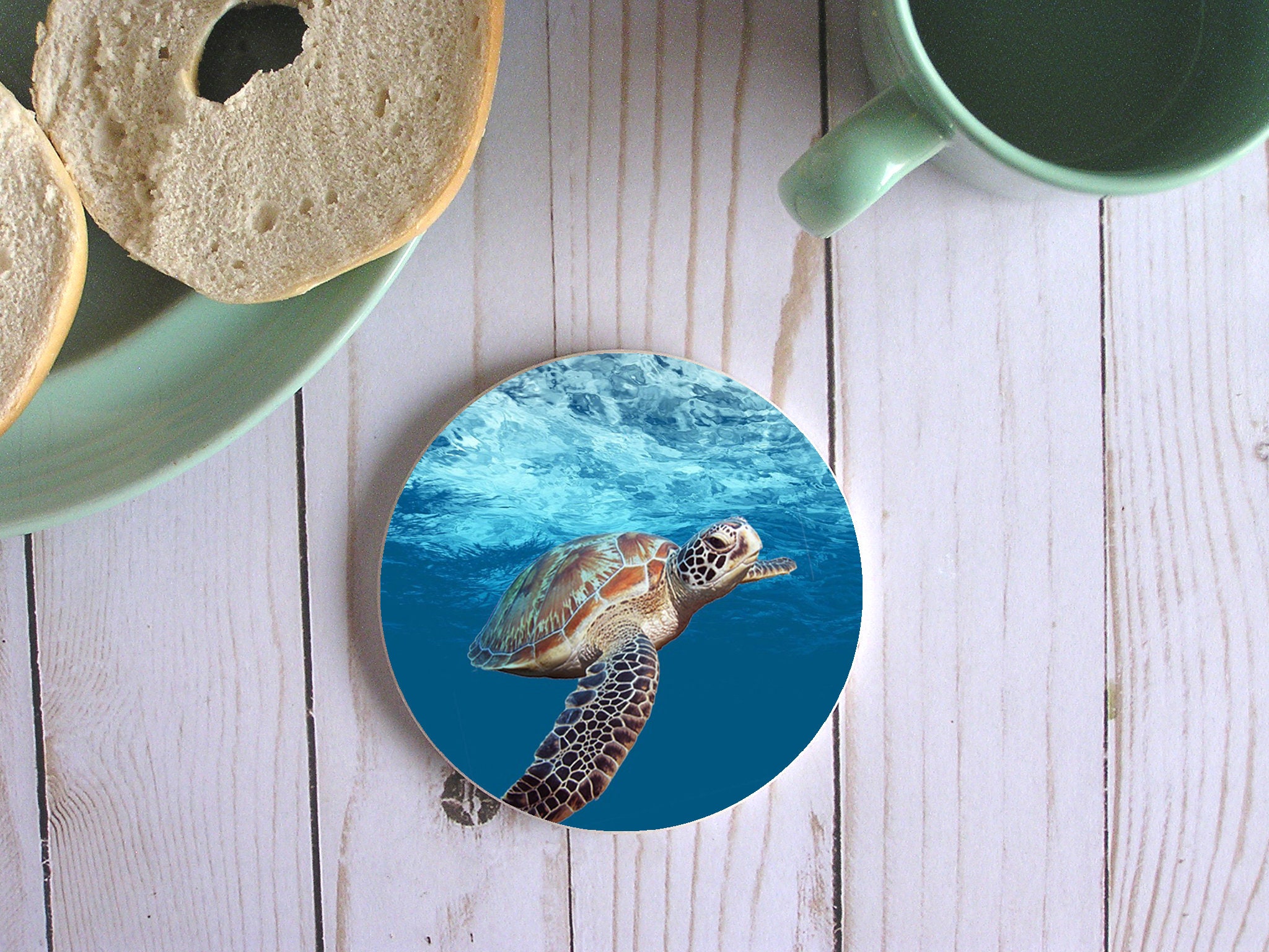Circle Sea Turtle Sandstone Coaster Concha de tortuga única | Etsy España