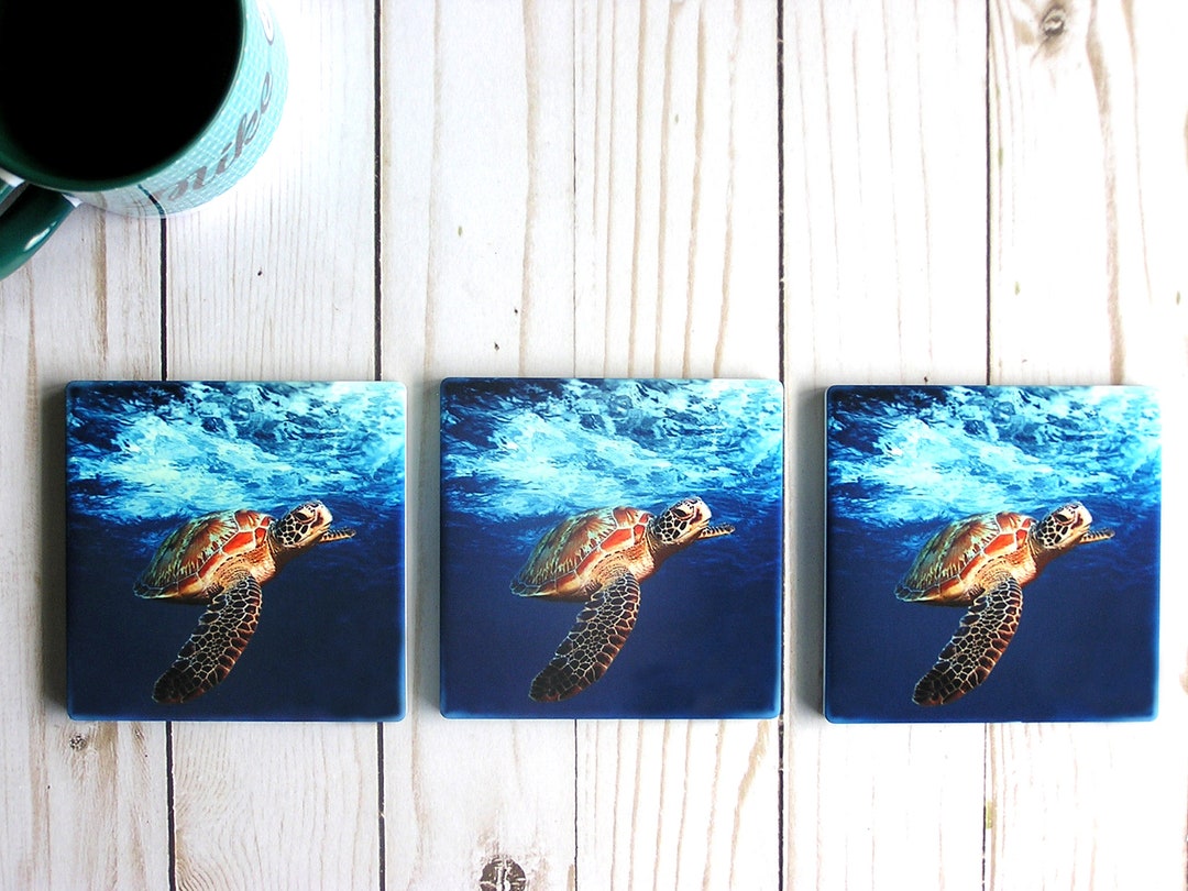 Sea Turtle Ocean Sandstone Coaster Set,turtle Shell Sea Creatures Under ...