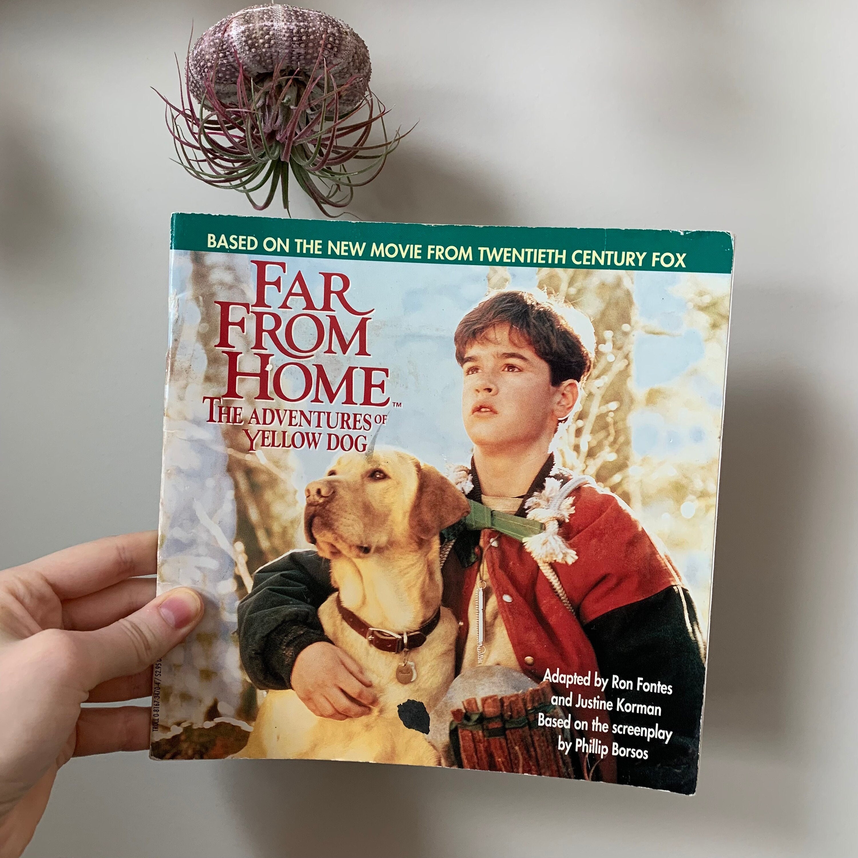 Far From Home Dog Movie 60 Photos - Moonagedaydream.film