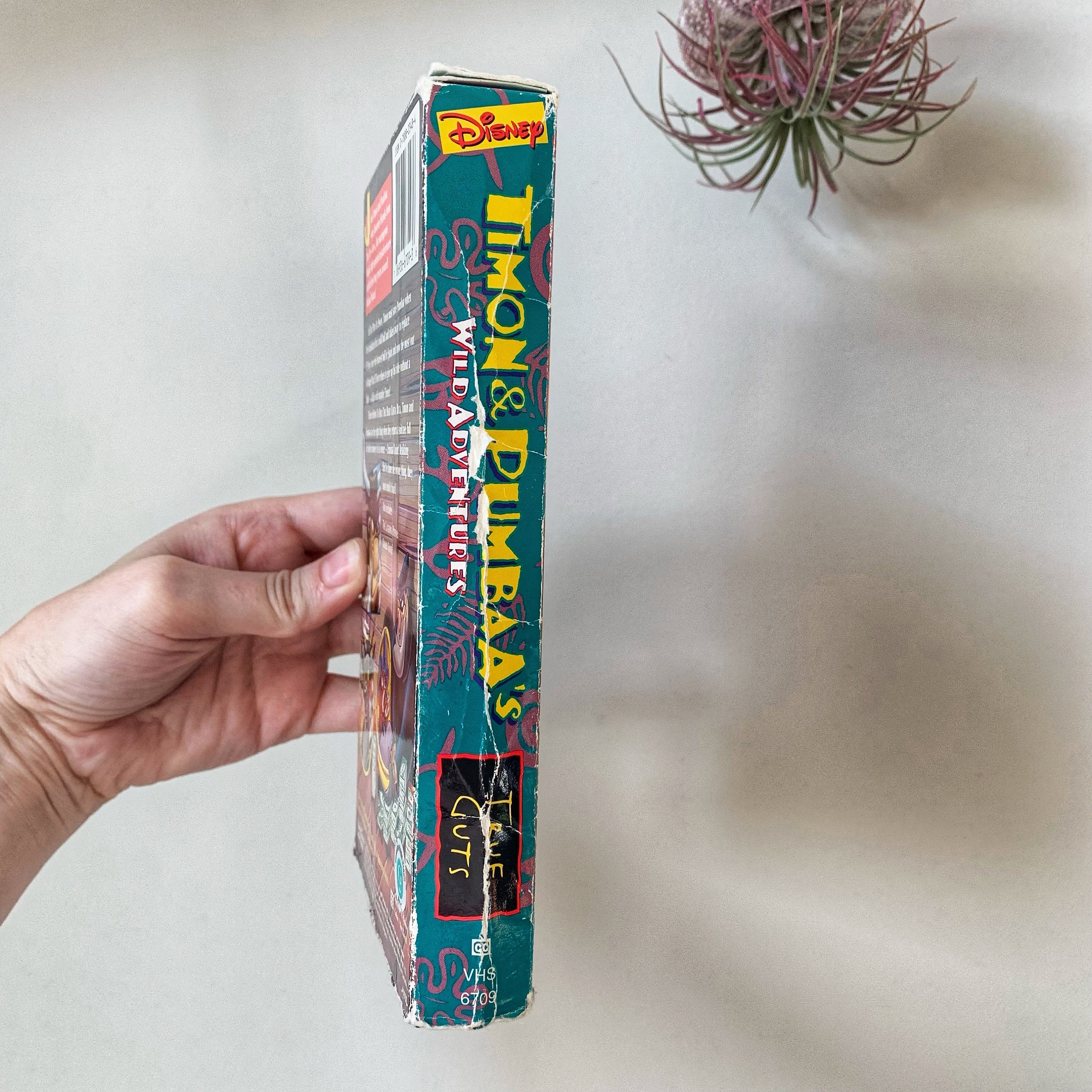 1996 Disney's Timon and Pumbaa's Wild Adventures True - Etsy Israel