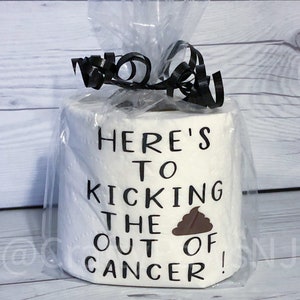 Cancer Survivor Gift Kicked the Crap Out of Cancer Beat Cancer - Etsy