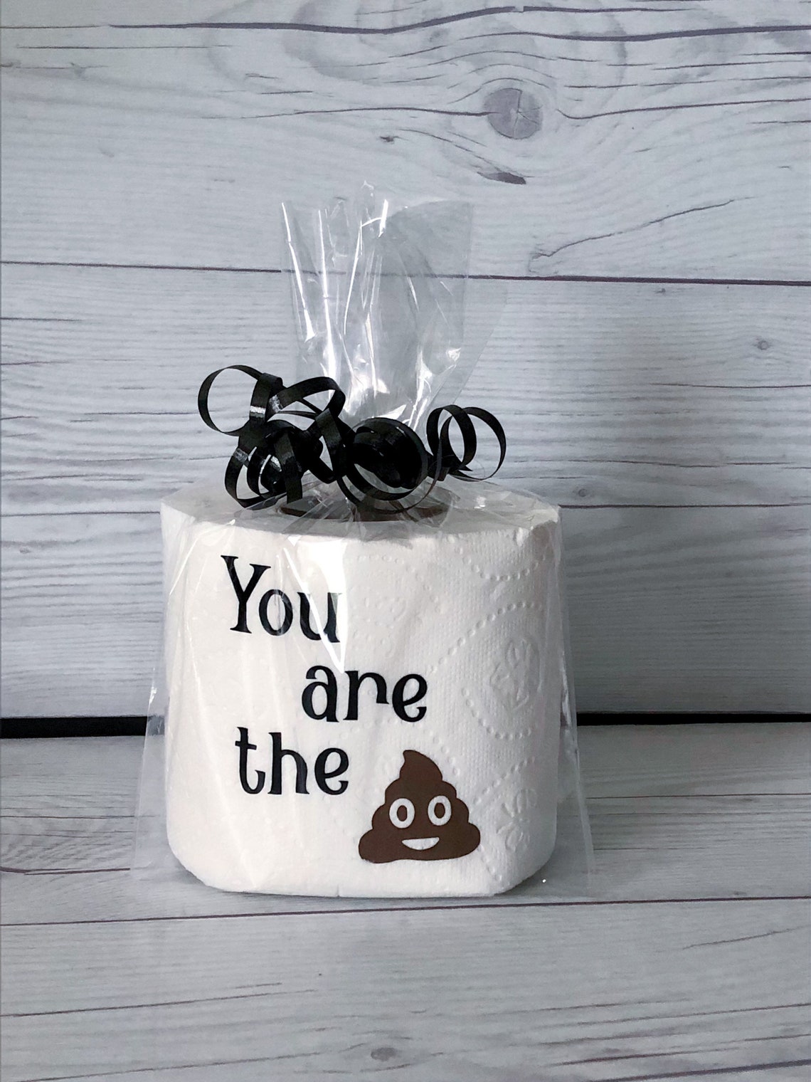 You Are the Shit Toilet Paper Gag Gift Funny Toilet Paper - Etsy