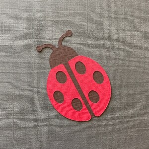 17+ Piece Teacher Bulletin Board Kit, Spring Classroom Decorations ...