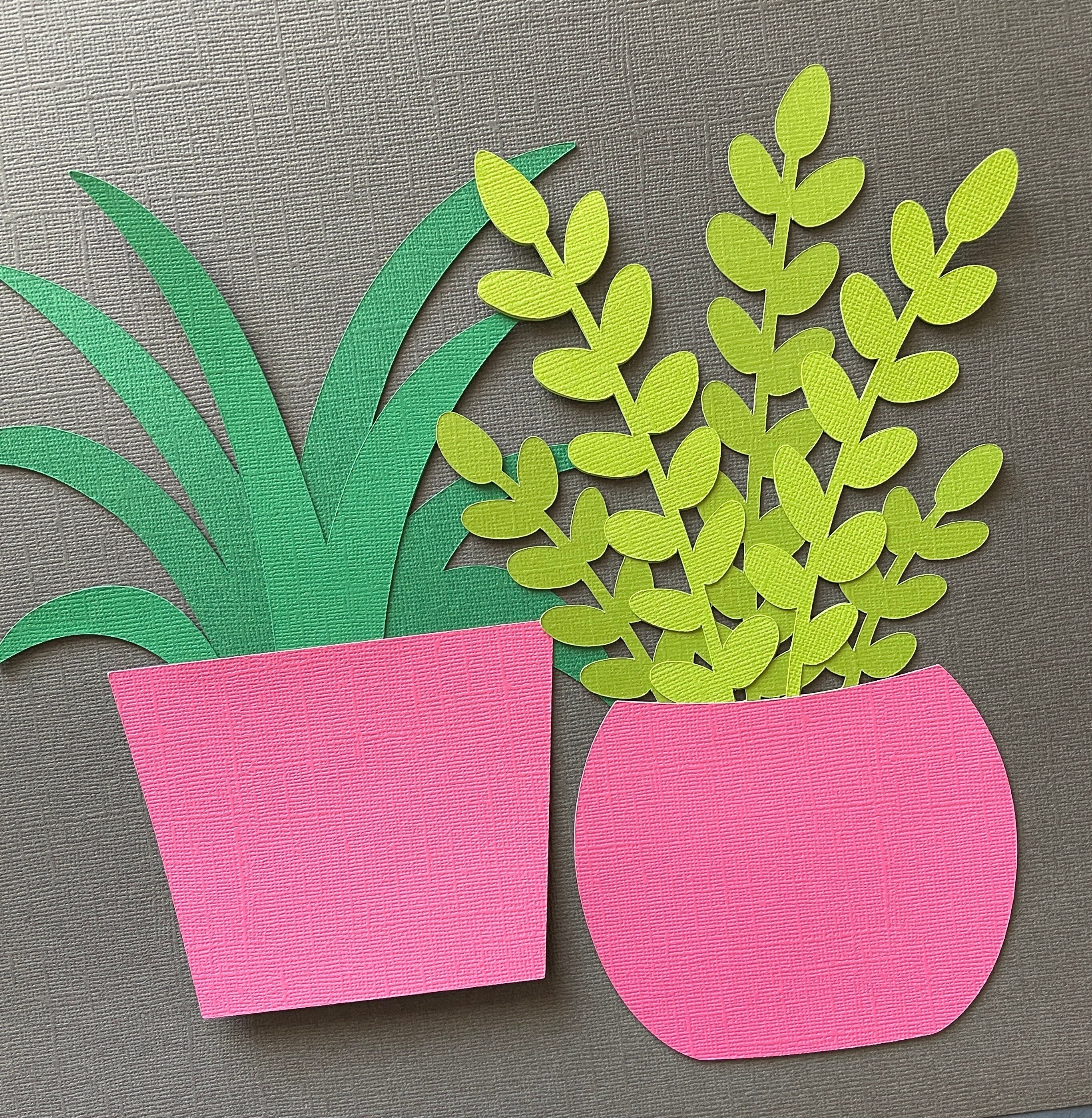 Spring Bulletin Board, Let's Grow Together Bulletin Board, Succulent ...