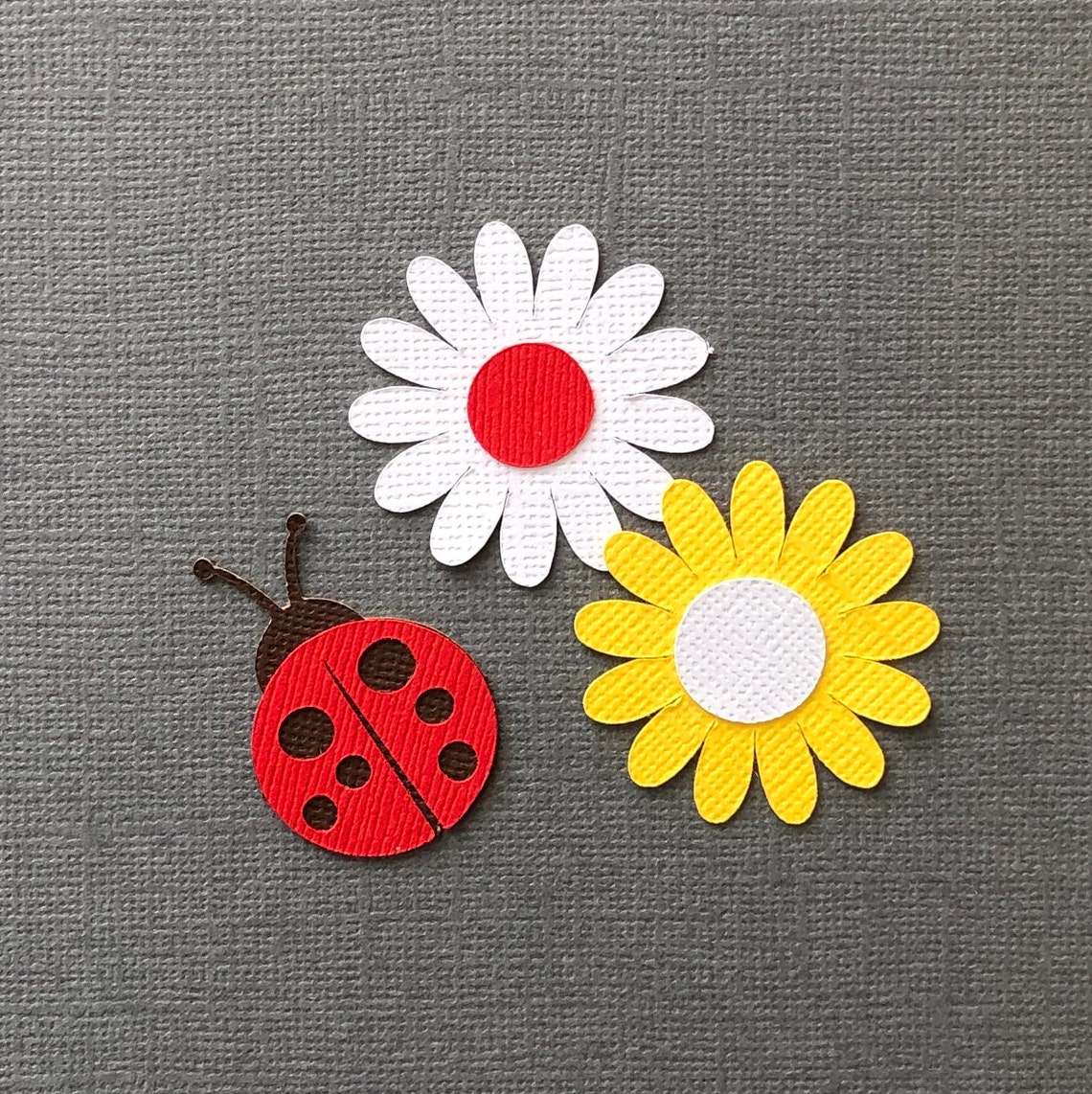 17 Piece Teacher Bulletin Board Kit Spring Classroom - Etsy