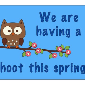 Multiple Piece Owl Bulletin Board Set Spring Bulletin Board | Etsy